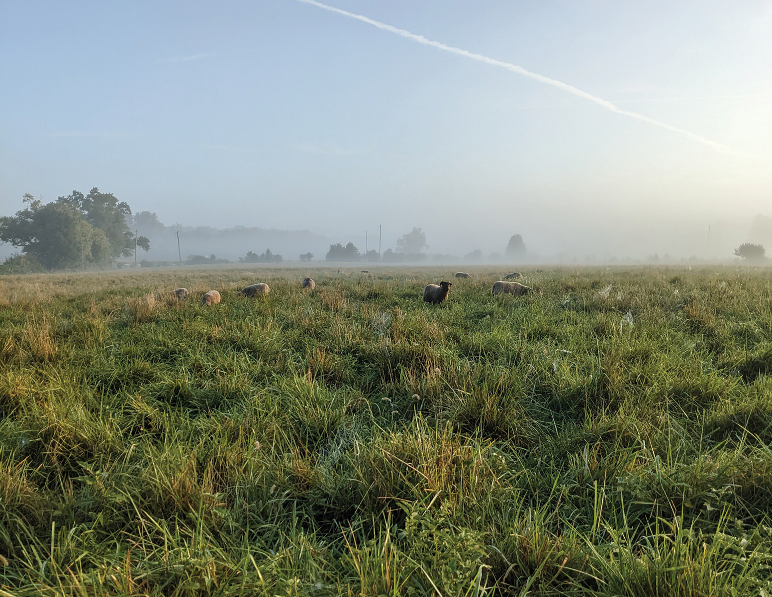 USDA Certified Organic Definition and Requirements for Farmers - Grit